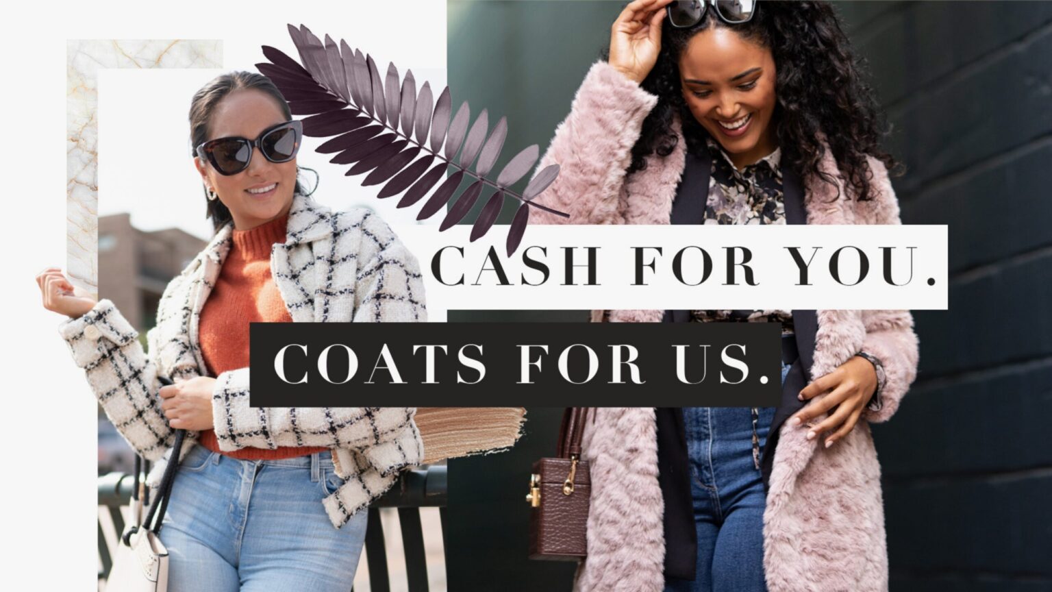 Rolling Out a New Brand - Curious Jane