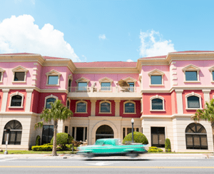 About Us - Curious Jane